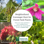 Nature's Neighborhood Scavenger Hunt - Forest Park Conservancy