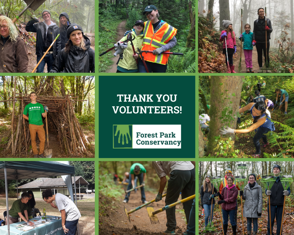 Celebrating Volunteer Appreciation Week: Thank you FPC Volunteers ...