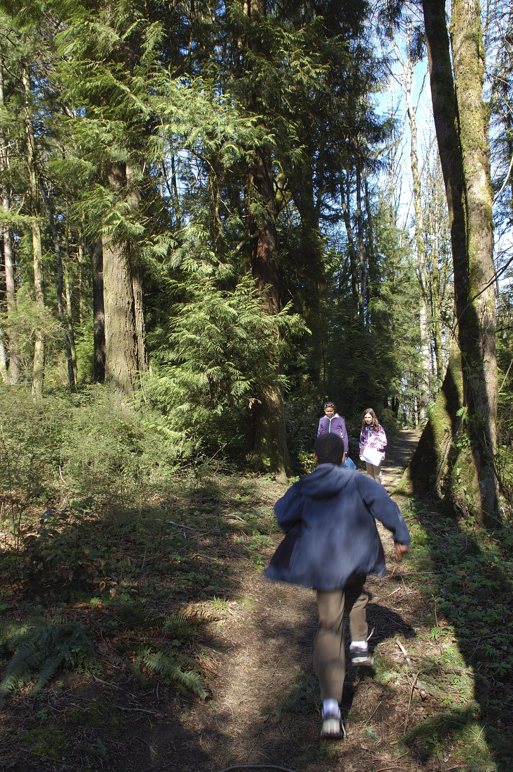 Supporting a STEAM Curriculum to Nurture Future Forest Park Stewards ...