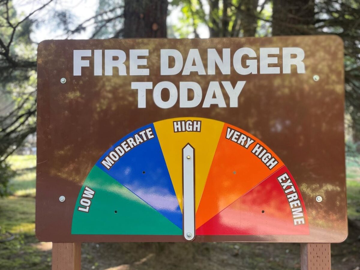 Fire Season 2023 Begins: What That Means for Forest Park, and You ...