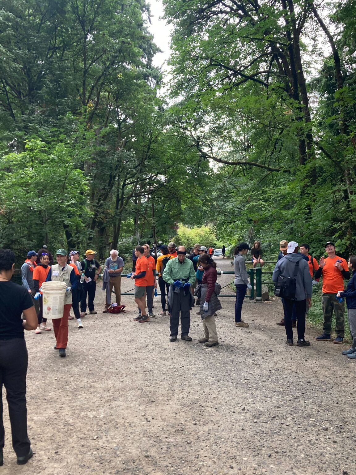75 Years of Forest Park: Looking Back on a Celebration of Community ...