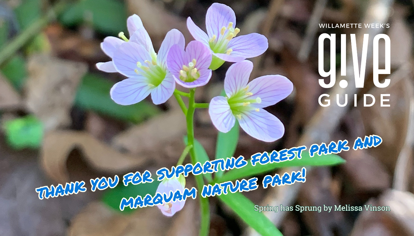 Give!Guide 2024 Wrap-Up: Thank you for Supporting our Favorite Forests ...