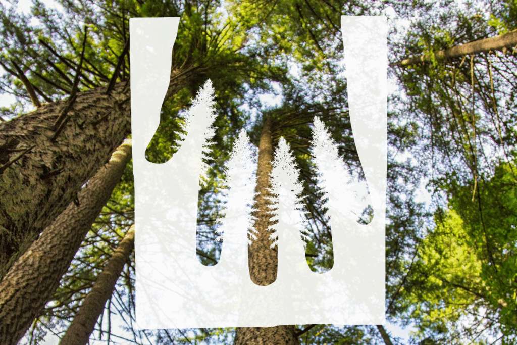 Statement on PGE's Appeal to the Land Use Board of Appeals - Forest ...