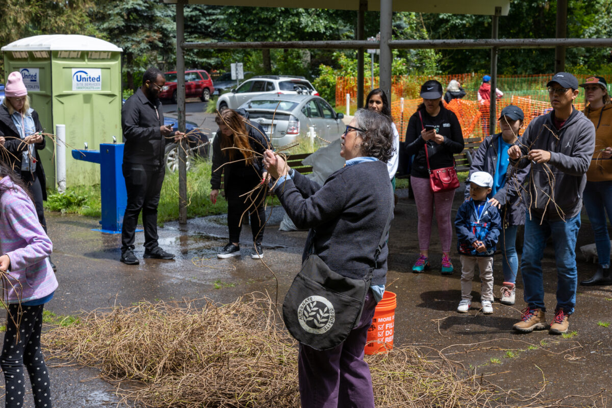 Free Events in the Forest: Join us for our Nature Education Program ...